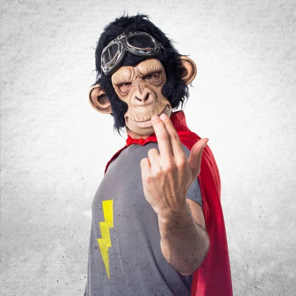 Captain monkey Stock Photos, Royalty Free Captain monkey Images ...