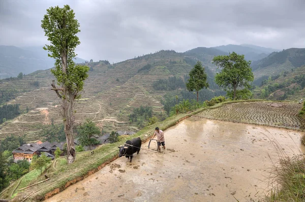 Arado suelo fotos de stock, imágenes de Arado suelo sin royalties ...