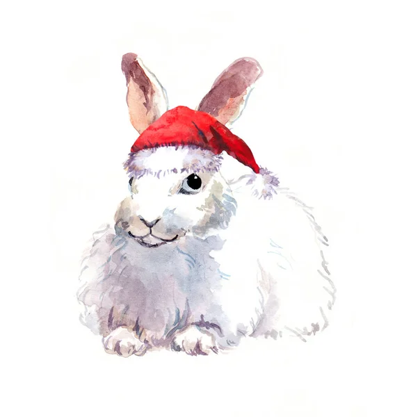 A christmas rabbit Stock Photos, Royalty Free A christmas rabbit Images ...