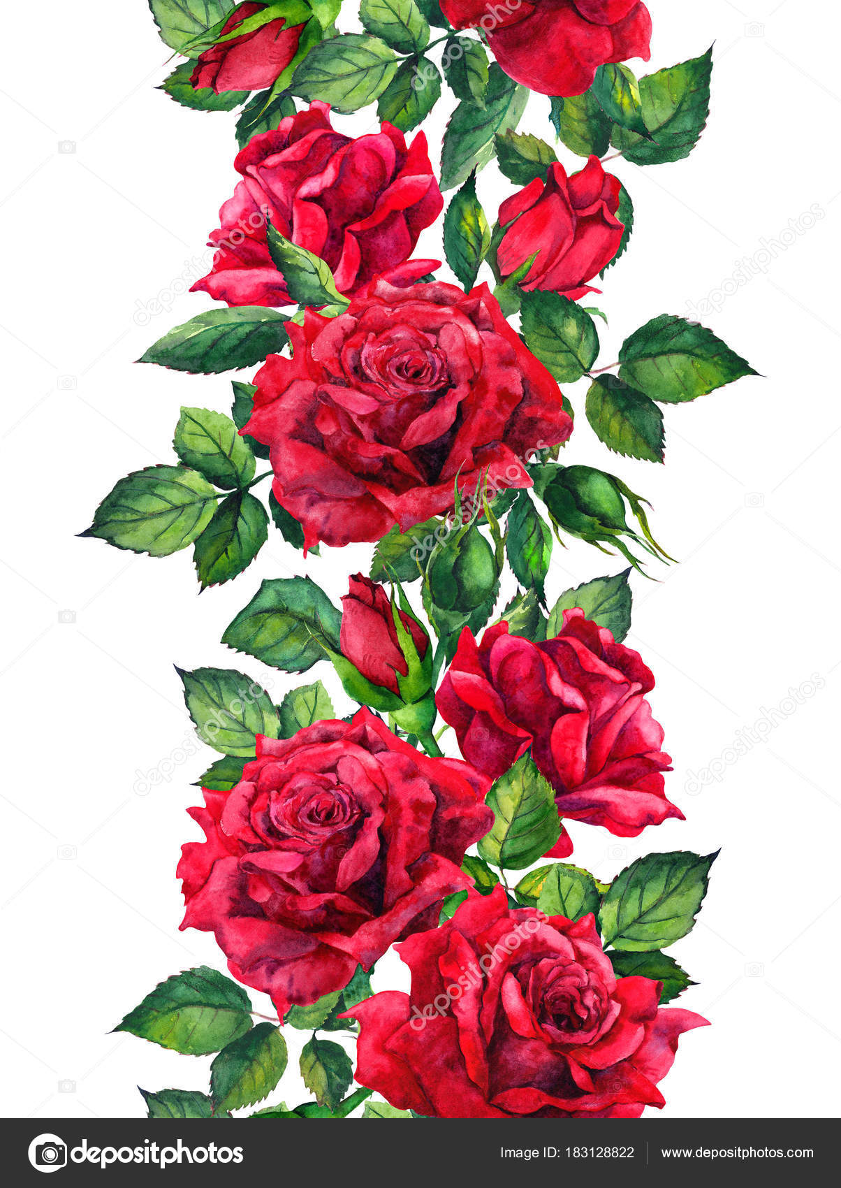 Borde Floral De Rosas Rojas Flores De Rosas Rojas Borde Floral.