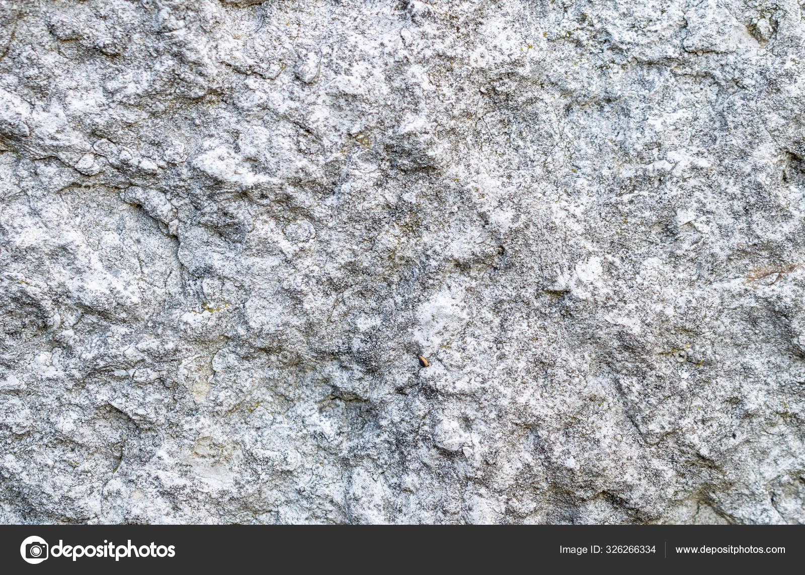 Structure of a stone slab of limestone Stock Photo by ©krzysztof12 ...