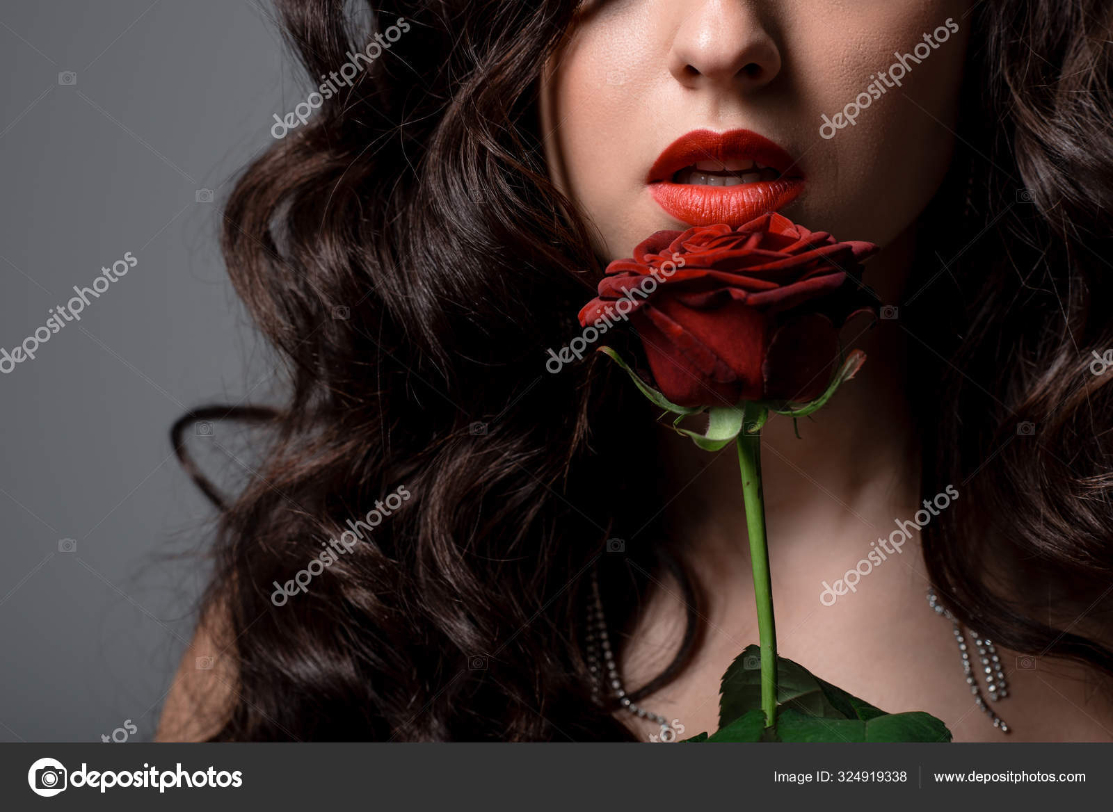 Cropped View Curly Brunette Girl Holding Red Rose Isolated Grey — Stock ...