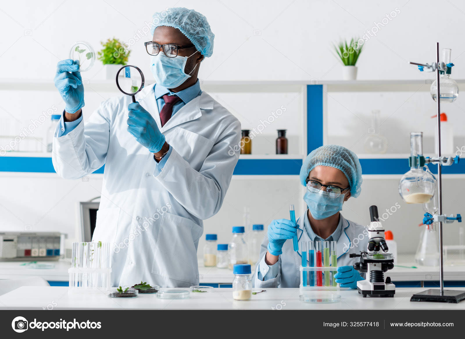 Biólogo Afroamericano Mirando Hojas Con Lupa Colega Sosteniendo Tubo ...