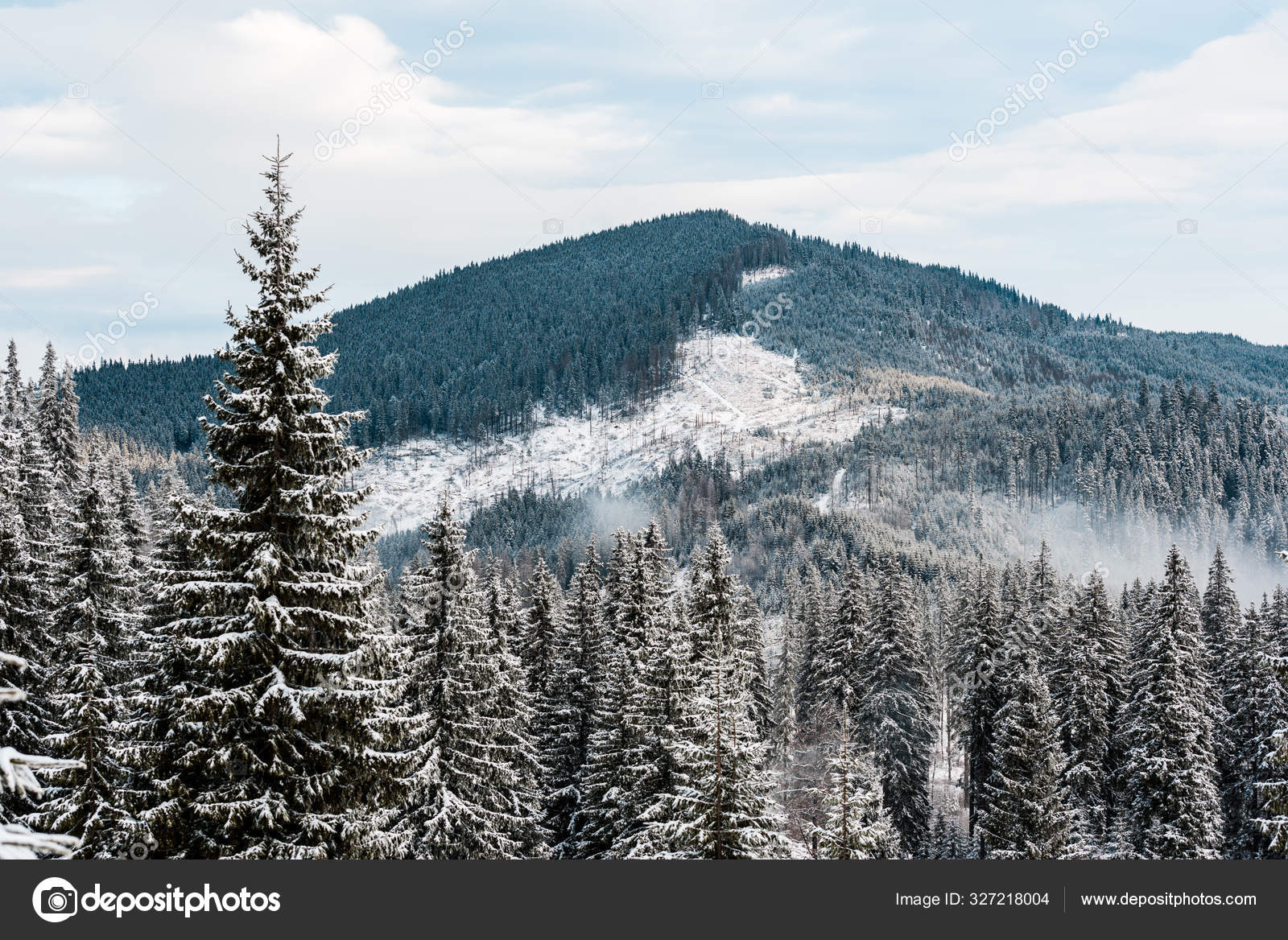 Snowy Mountains With Trees