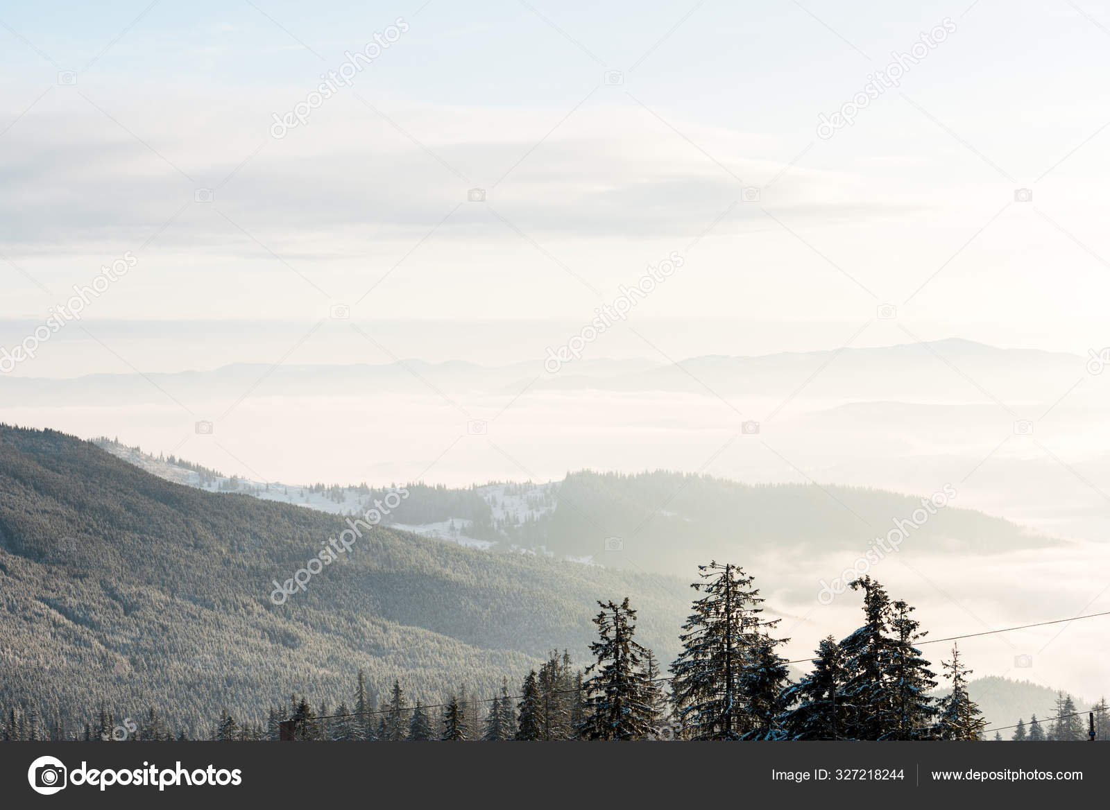 Scenic View Snowy Mountains Pine Trees Sunlight Stock Photo by ...