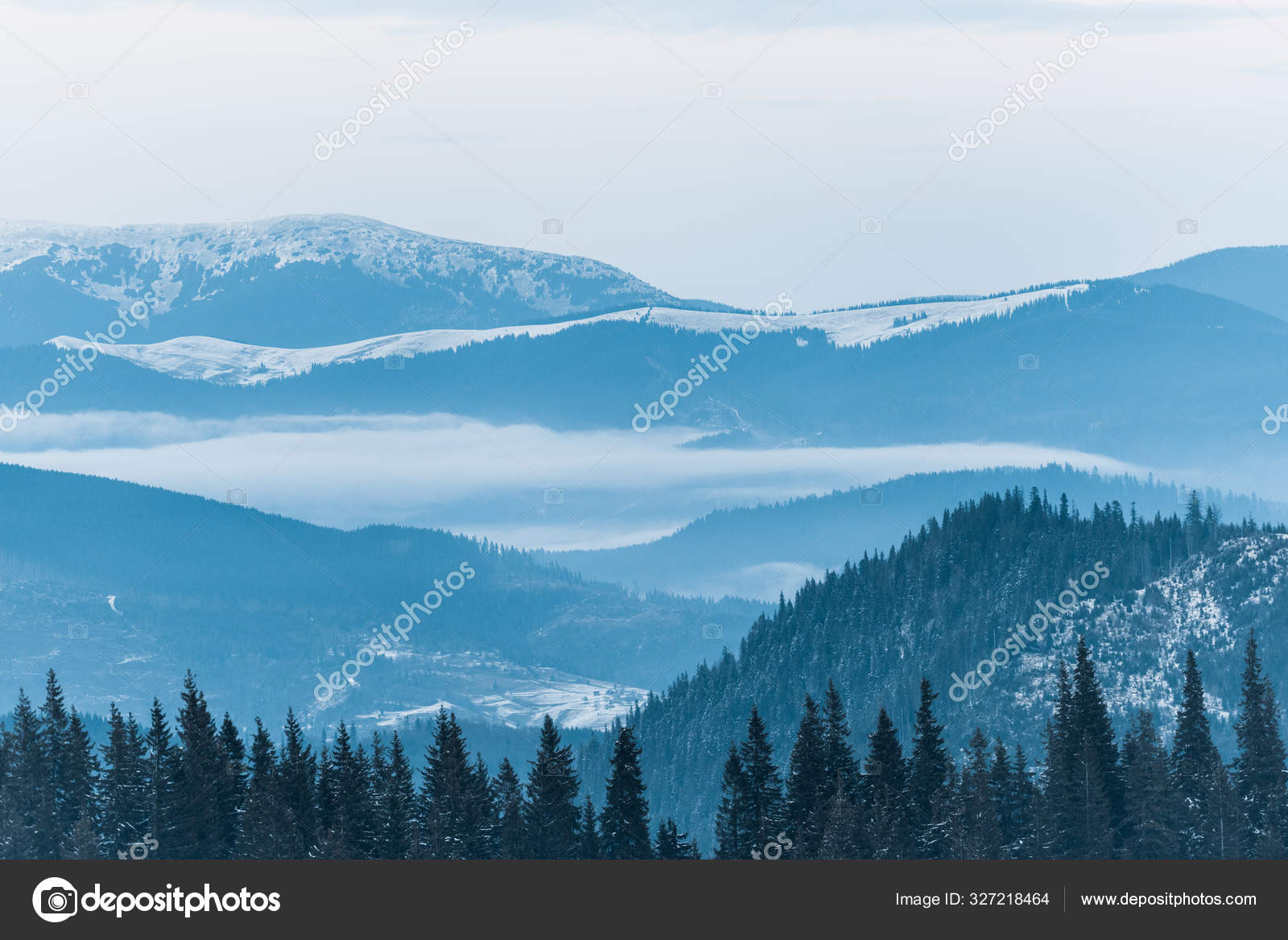 Scenic View Snowy Mountains Pine Trees Cloudy Sky — Stock Photo ...