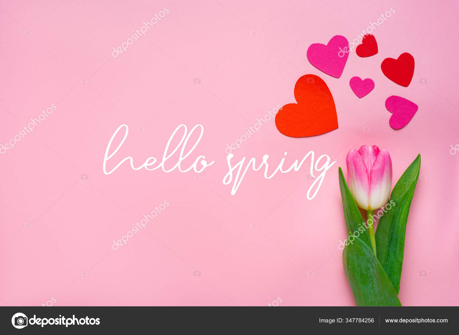 Top View Paper Hearts Tulip Pink Background Hello Spring Illustration ...