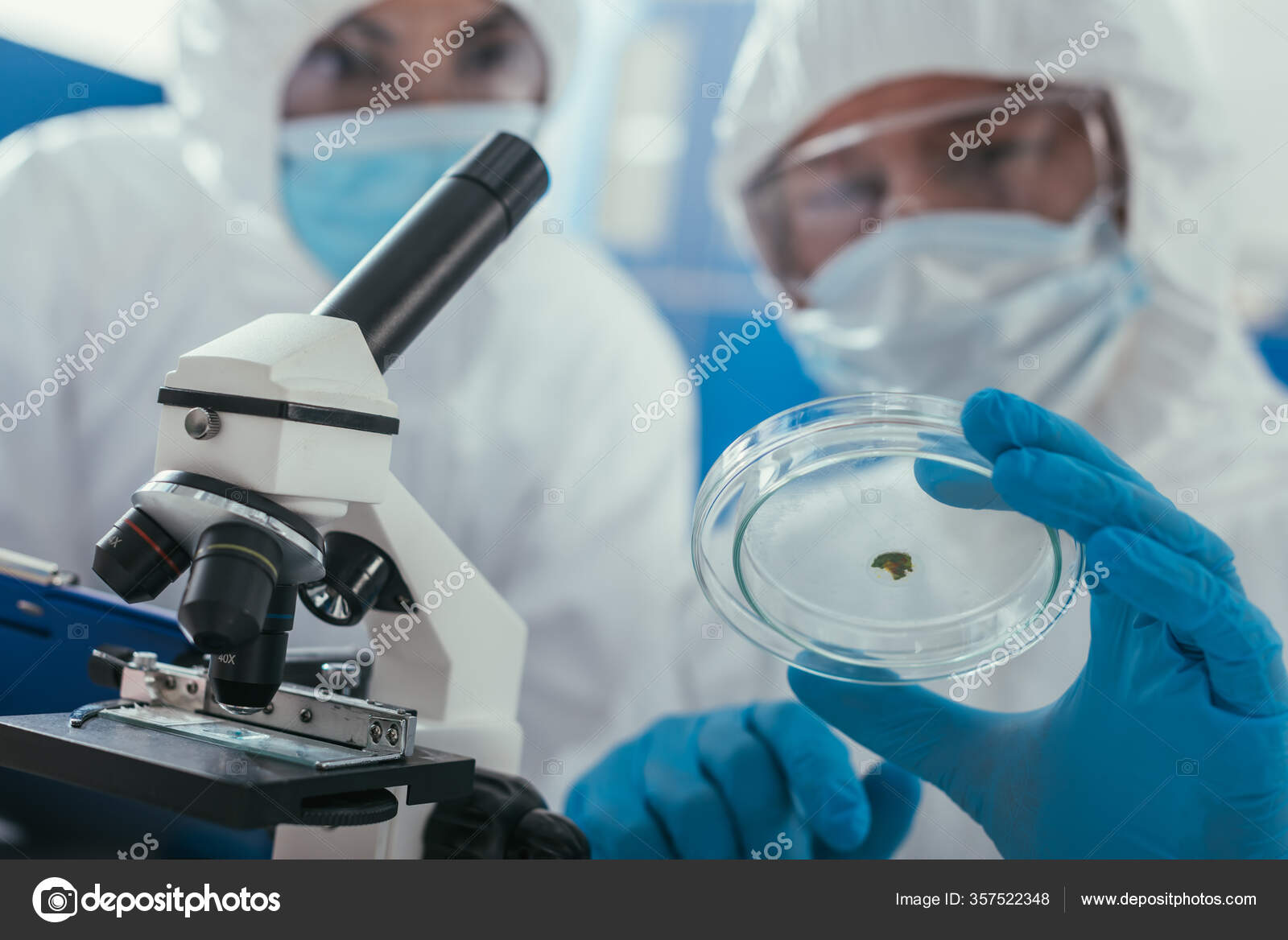 Selective Focus Two Biochemists Looking Petri Dish Biomaterial ...