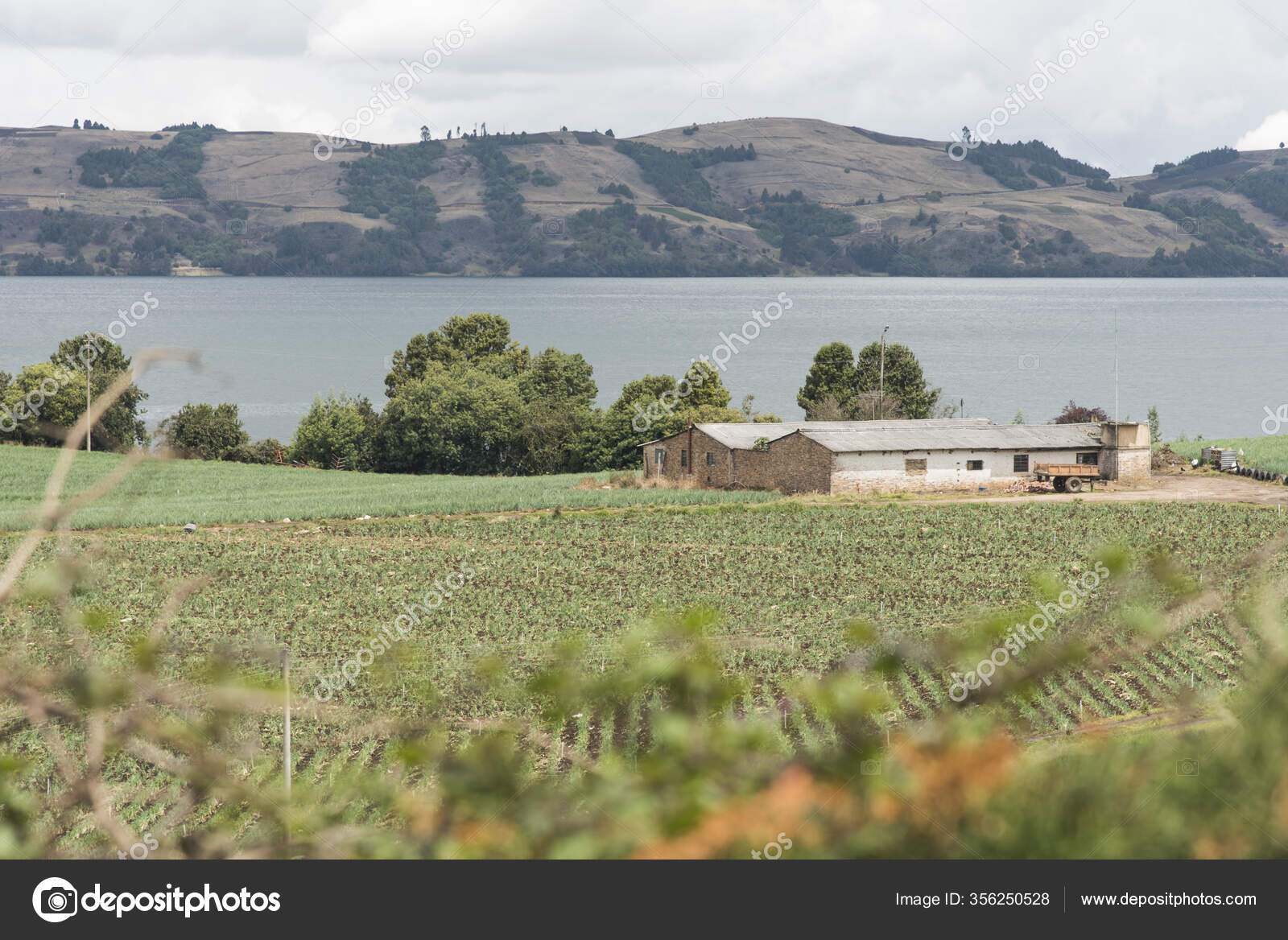 Aquitania Boyaca Colombia April 2018 Andean Landscape Rural House ...