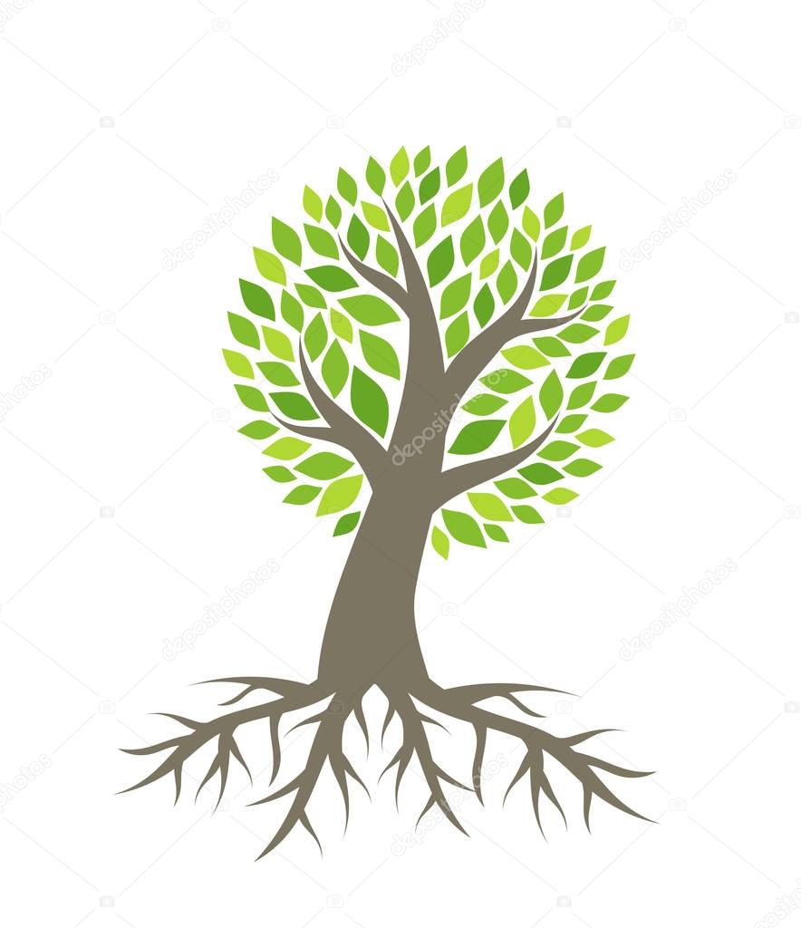 Green Tree With Roots And Branches