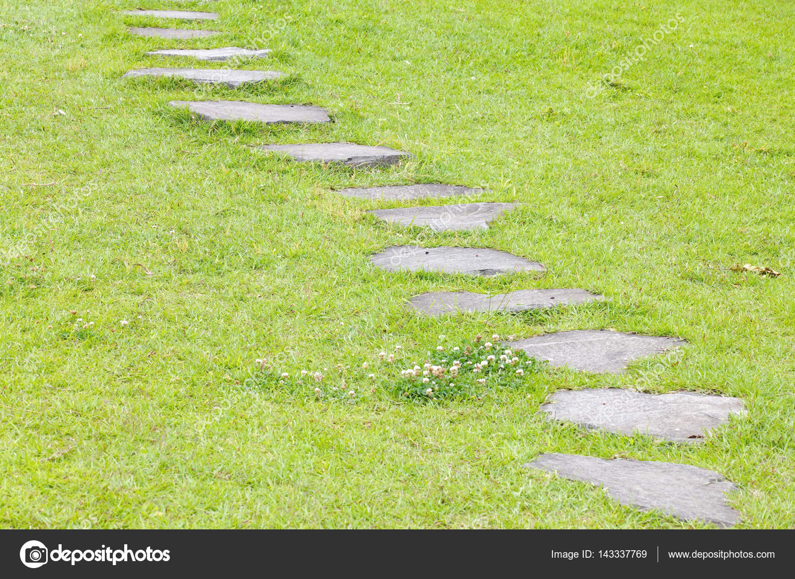 Imagen Camino De Roca Japones