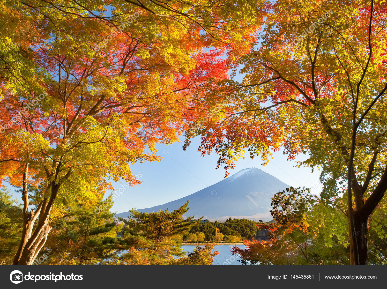 Autumn tree and Mountain Fuji — Stock Photo © Torsakarin #145435861