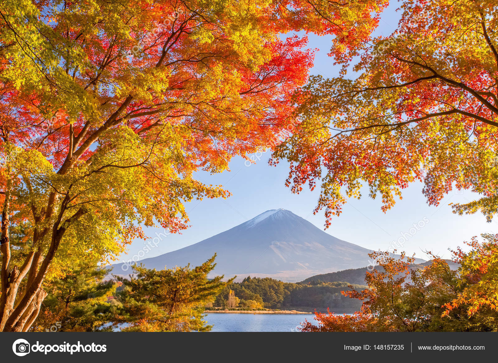 Autumn tree and Mountain Fuji — Stock Photo © Torsakarin #148157235