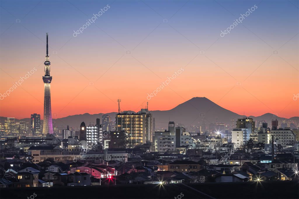 Tokio Cielo árbol hito con el centro de la zona de edificios y la ...