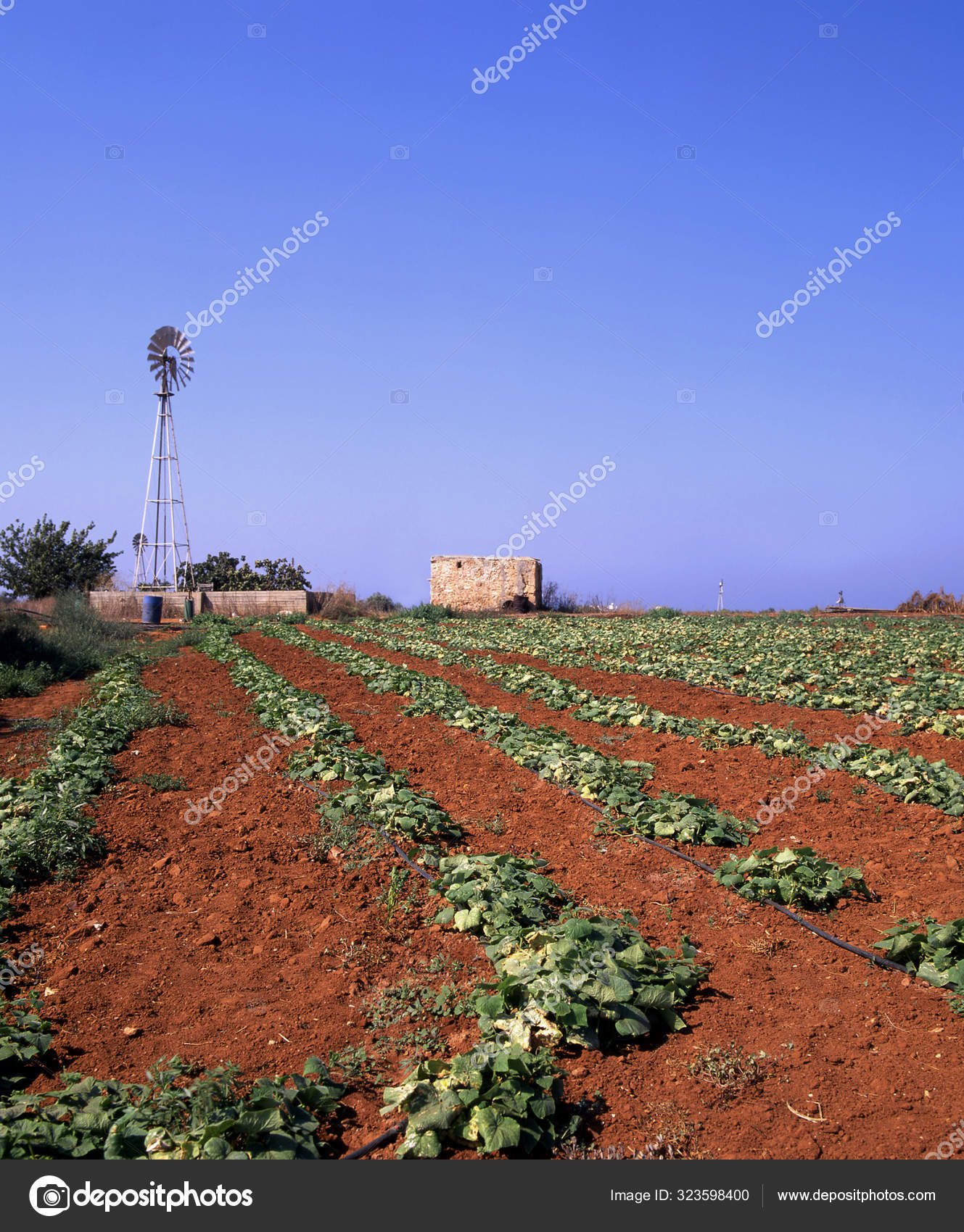 Red Soil Field Cyprus Wind Pumps Providing Irrigation Stock Photo by ...