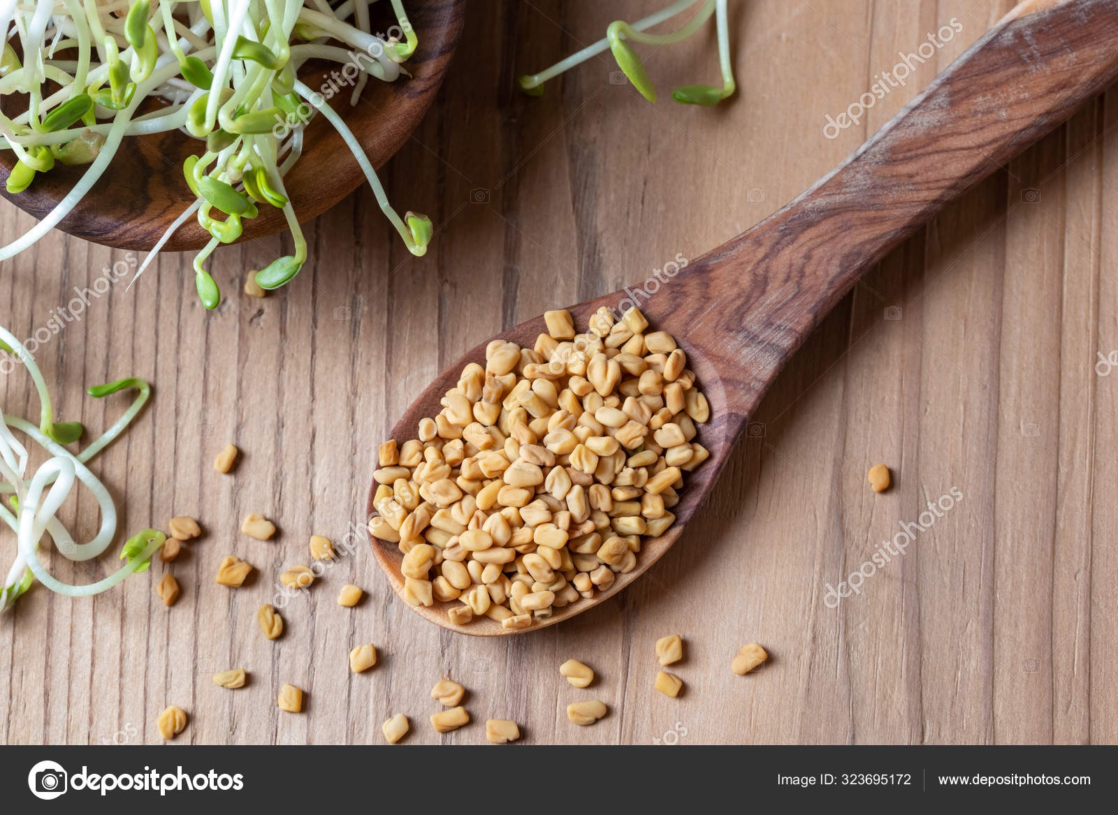 Fenugreek Seeds Spoon Young Sprouts Background Stock Photo by ...