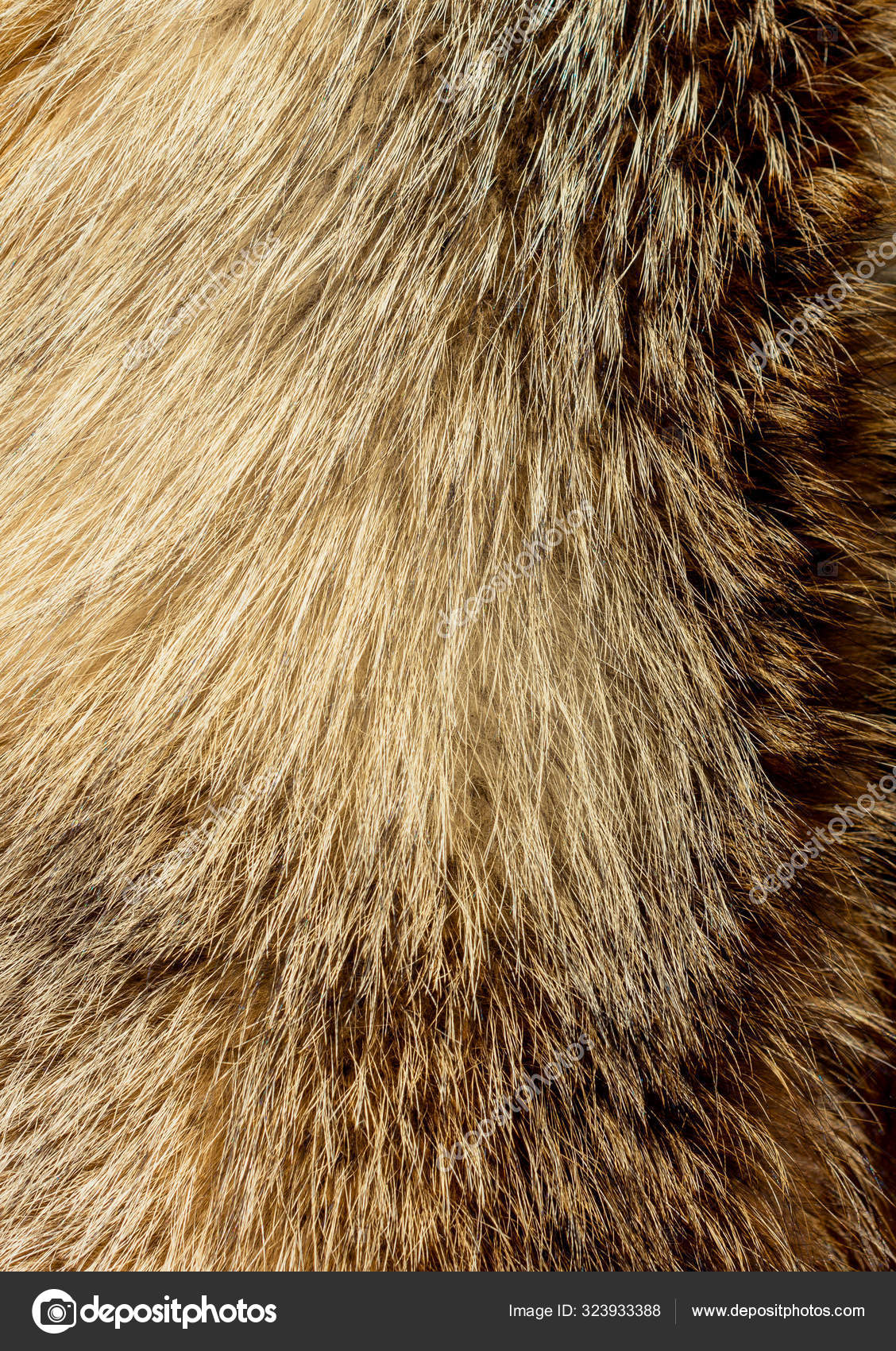 Decorative Animal Fur Background Texture Stock Photo by ©YAYImages ...