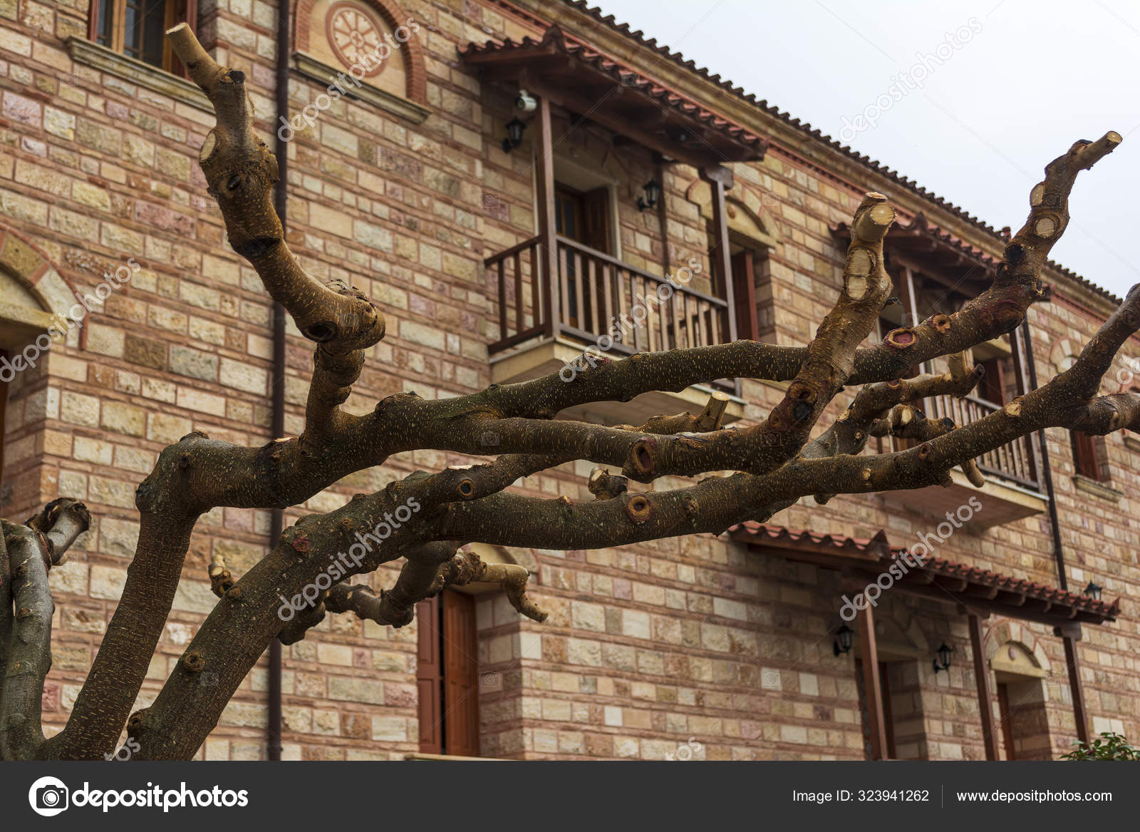 Naked Tree Front Christian Orthodox Monastery Virgin Mary Malevi ...