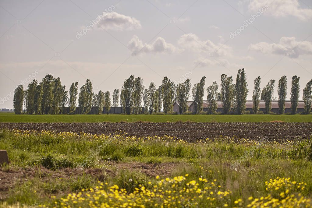 Panorama de un paisaje agrícola inmerso en el valle del Po en Italia ...