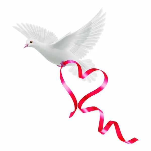 White Dove Red Ribbon White Background Stock Vector Image by ...