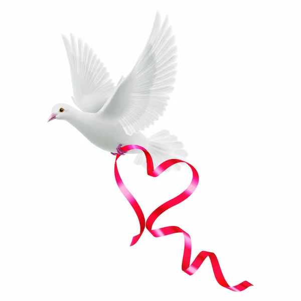 White Dove Red Ribbon White Background Stock Vector Image by ...