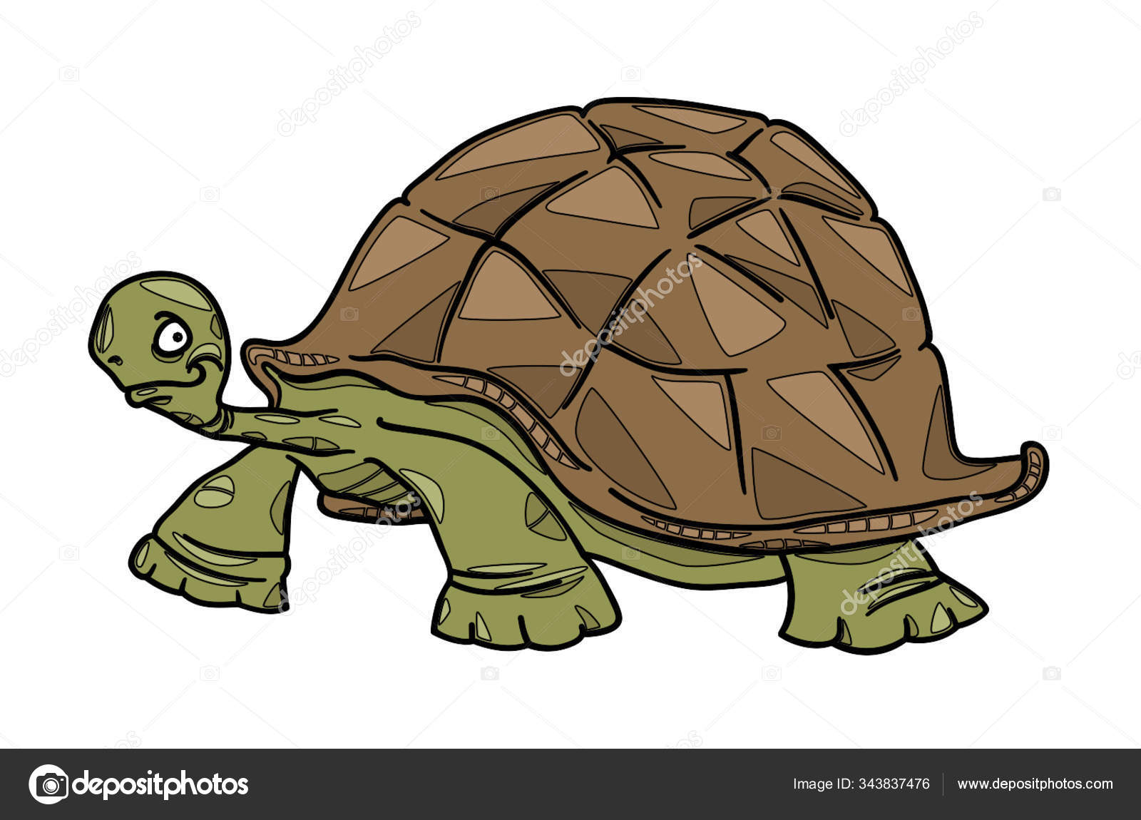 Cartoon Vector Illustration Funny Big Turtle Stock Vector Image by ...