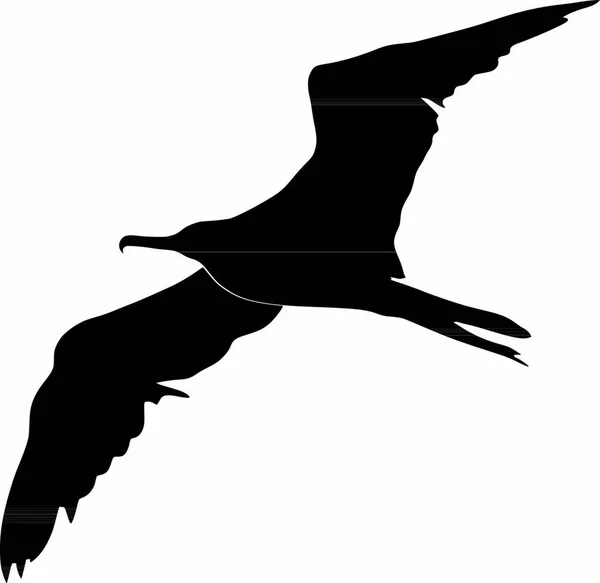 29,878,609 Frigate bird Vector Images | Depositphotos