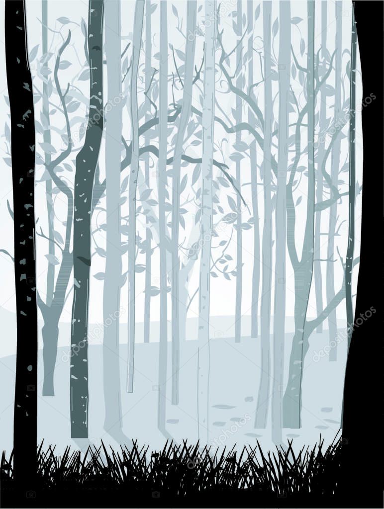 Bosque Negro Blanco. Ilustración del vector de color 2024