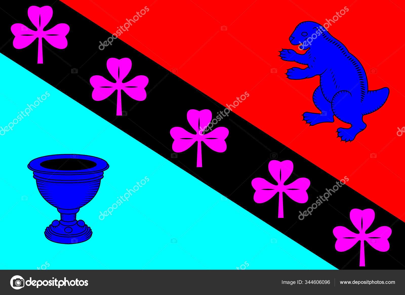 Various Vector Flags State Symbols Emblems Countries Regions ...