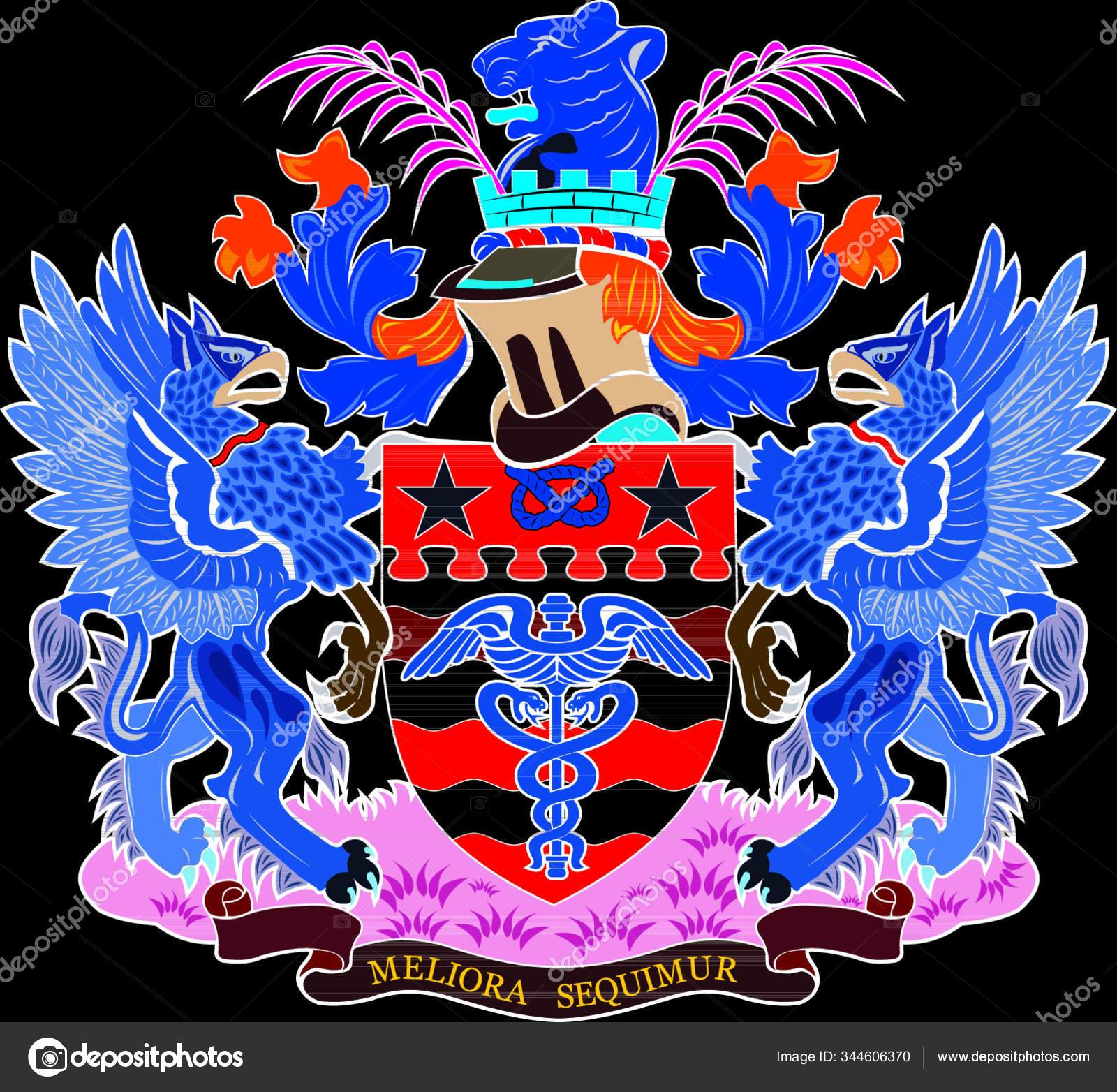 Various Vector Flags State Symbols Emblems Countries Regions ...