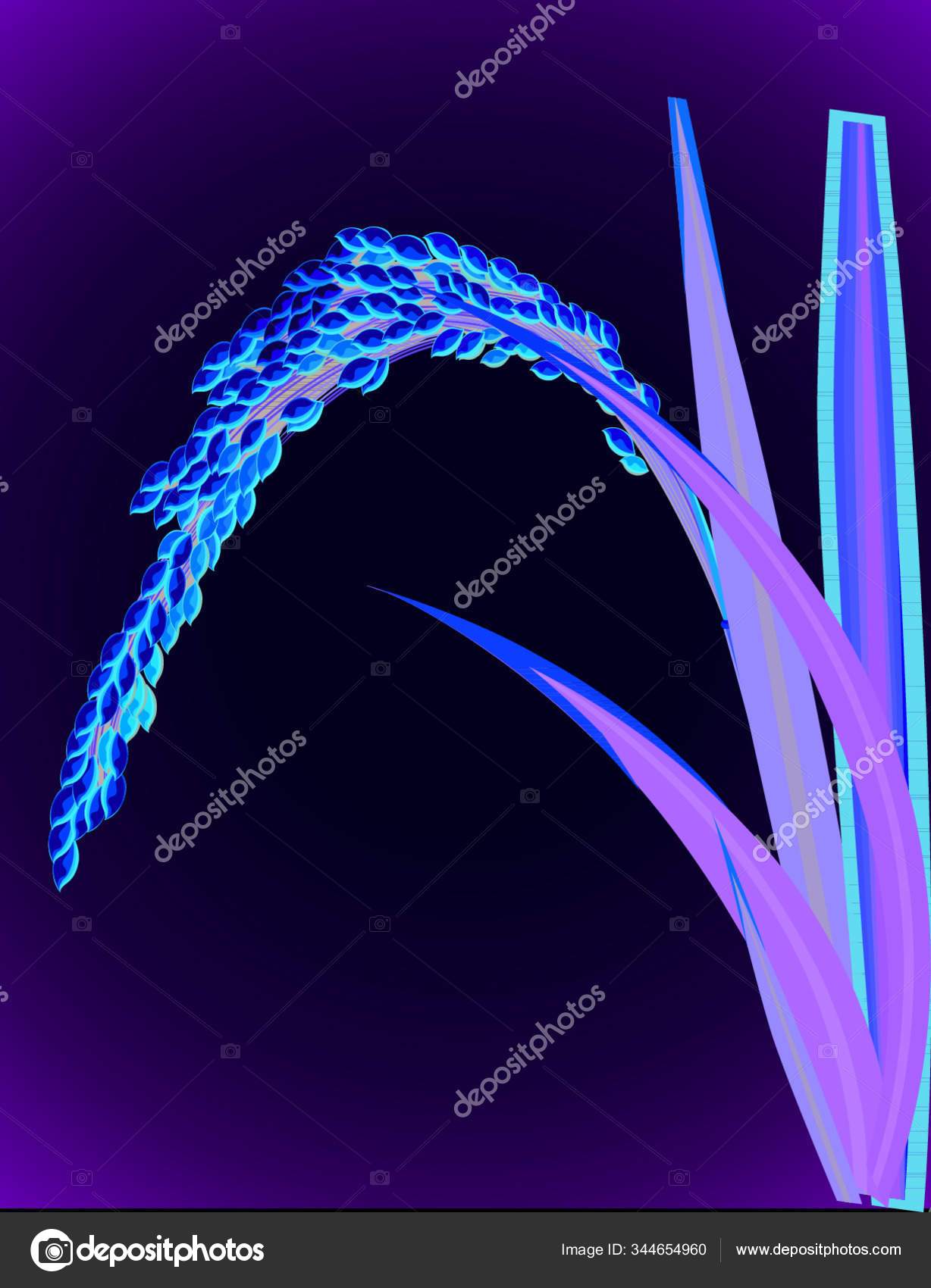 Illustration Spike Rice Asia Stock Vector Image by ©YAYImages #344654960