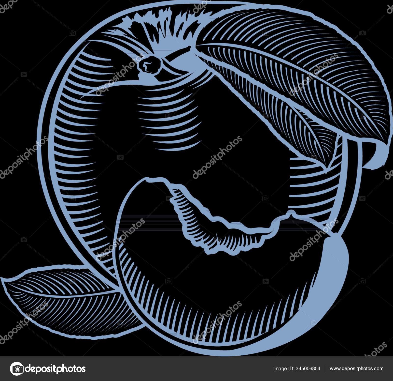 Peach Vintage Style Line Art Vector Illustration Stock Vector by ...