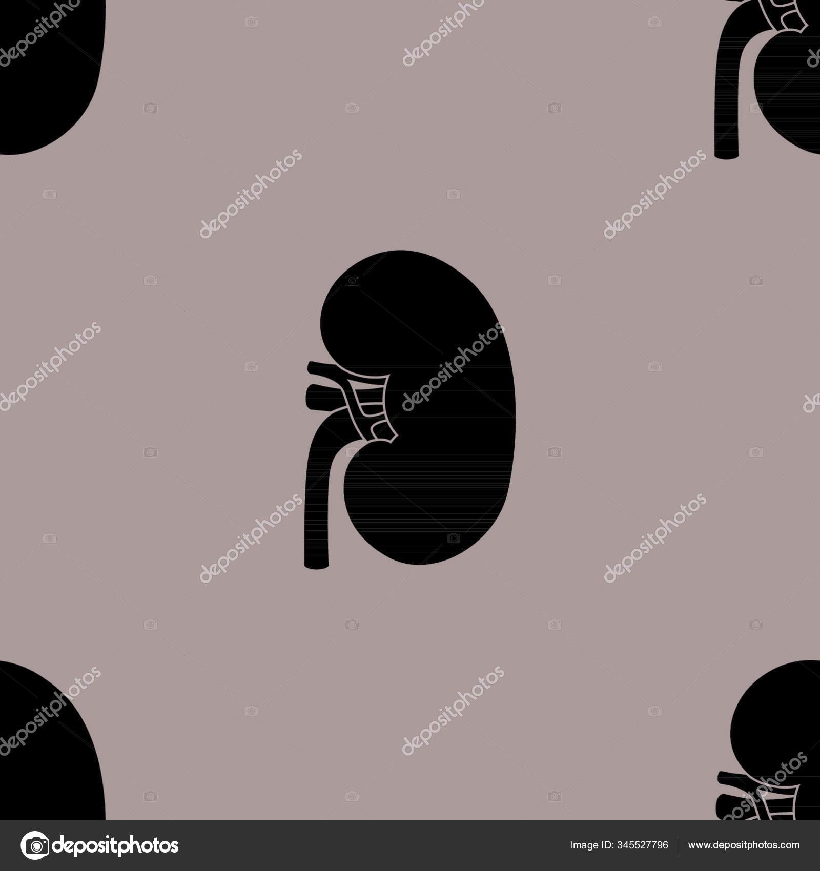 Kidney Sign Seamless Pattern Gray Background Vector Illustration Stock ...