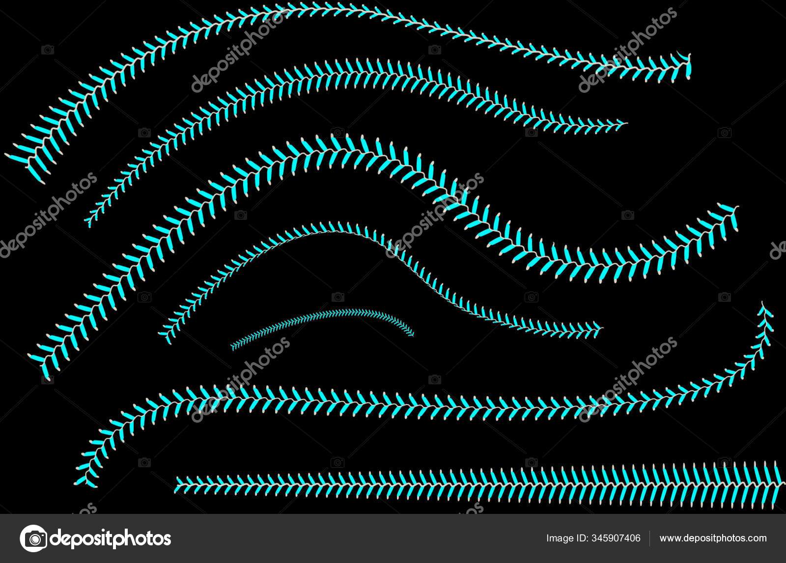 Lace Baseball White Background Vector Illustration Stock Vector Image ...