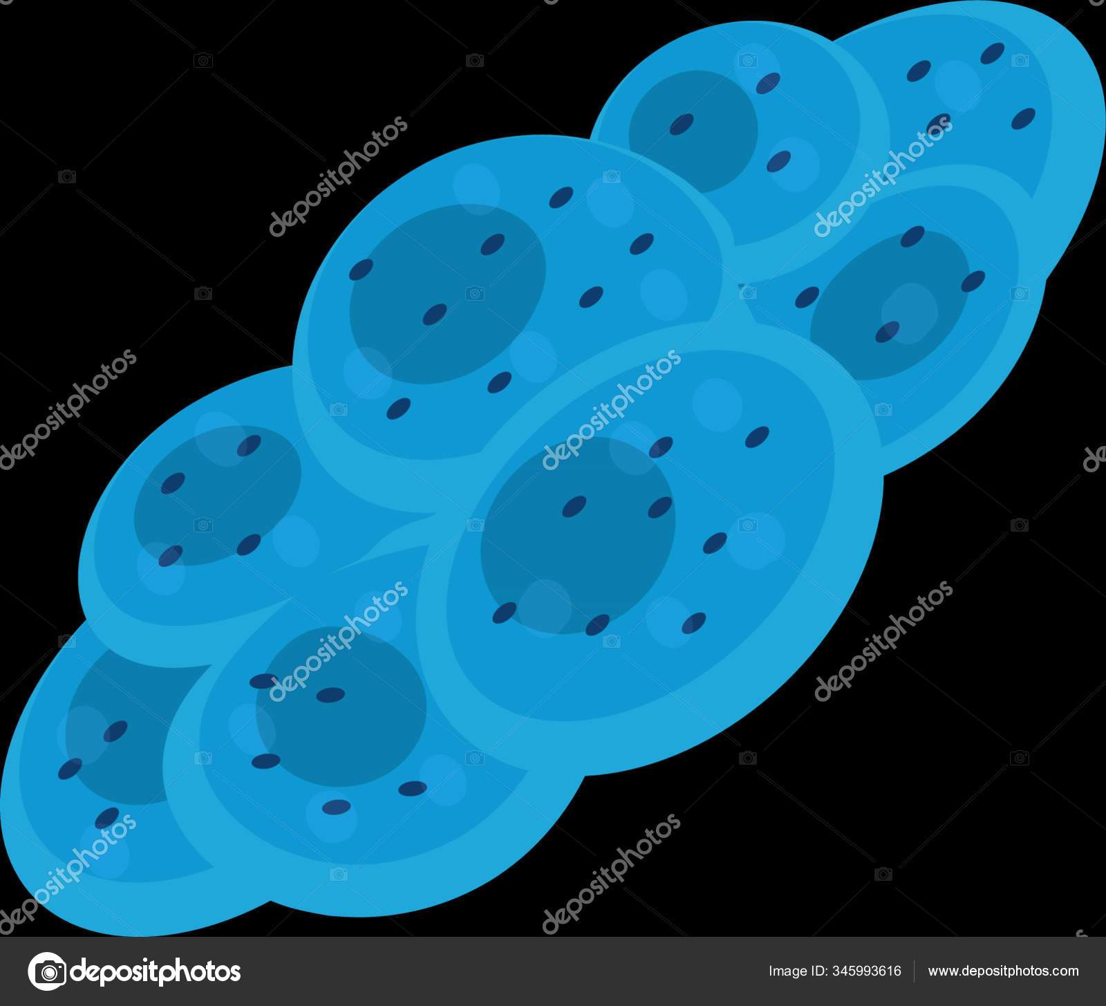 Jewish Challah Bread Roll Icon Flat Style Eating Shabbat Isolated Stock ...