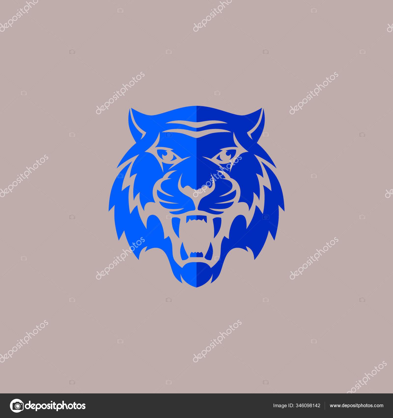 Intimidating Tiger Front View Theme Logo Template Vector Stock Vector ...