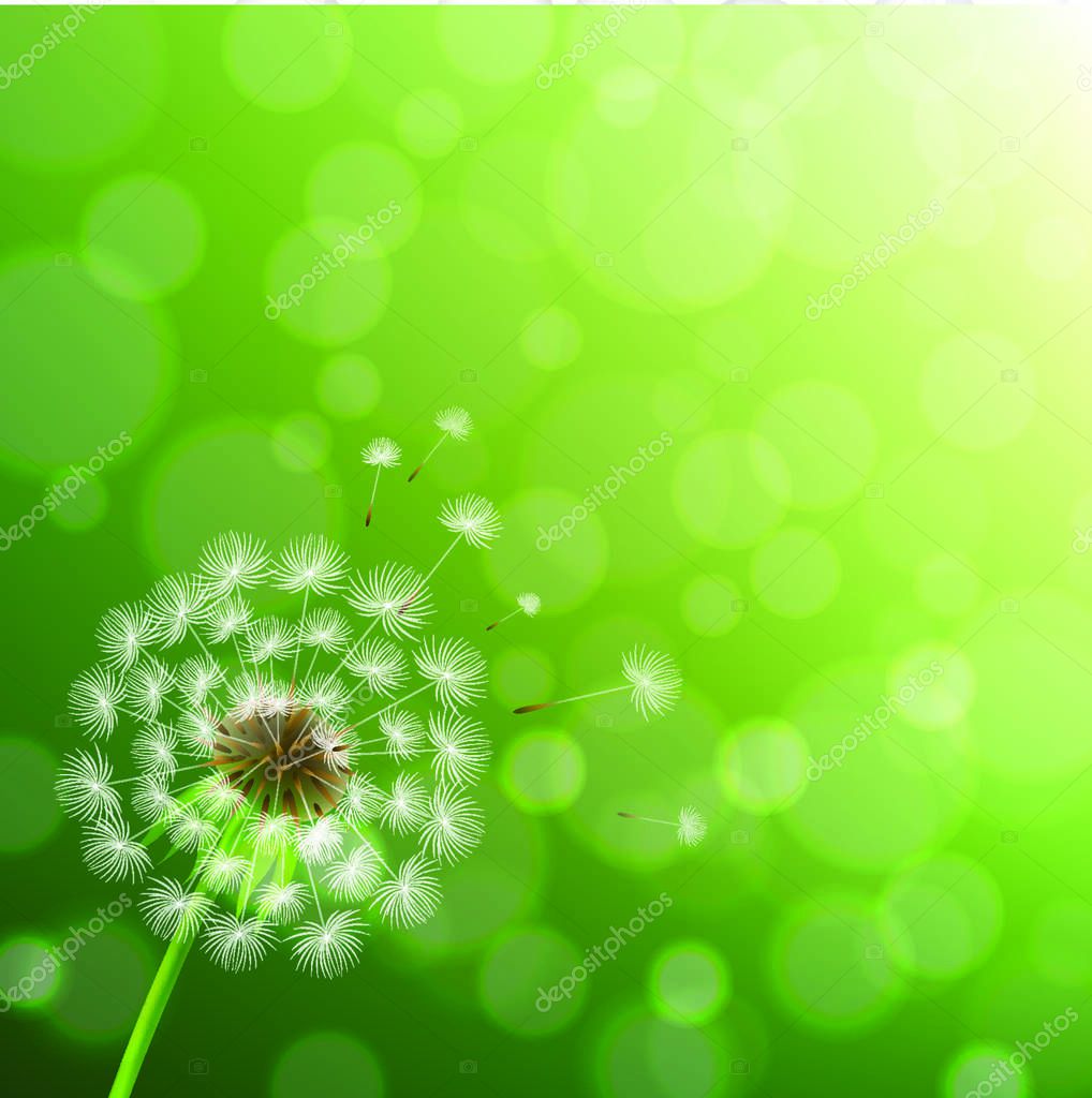 Diente León Fondo Verano Con Malla Gradiente Ilustración Vectorial ...