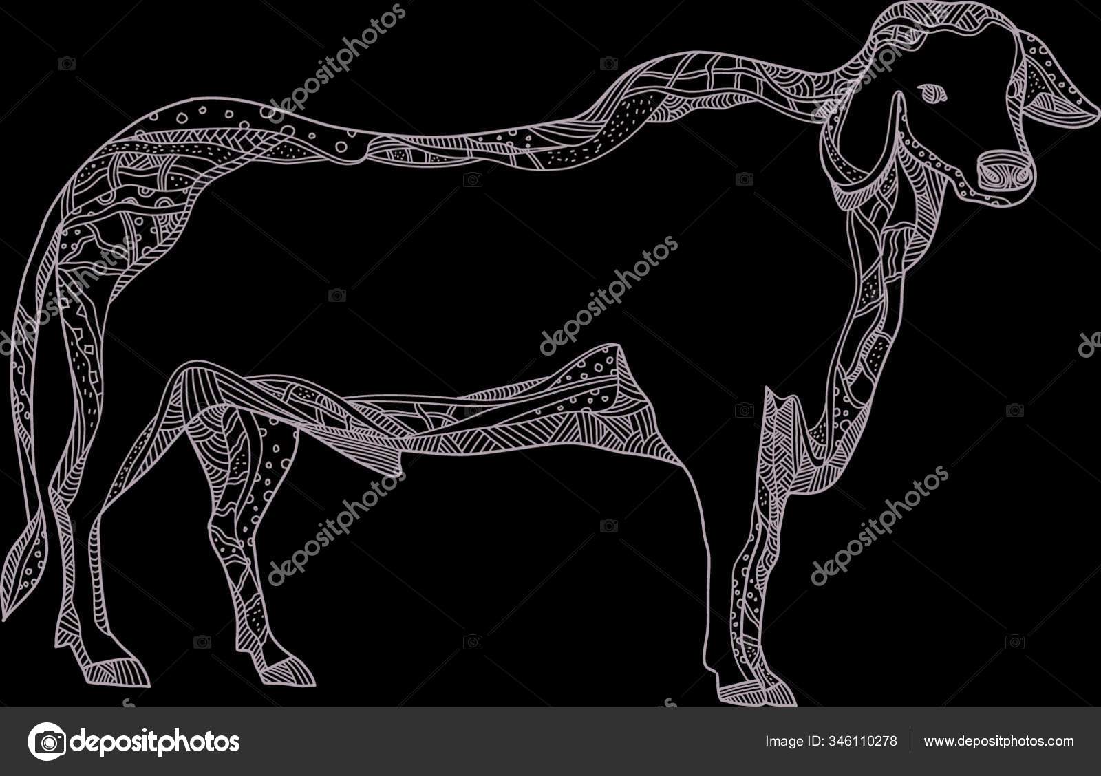 Doodle Art Illustration Brahman Brahma Bull Breed Zebu Cattle Viewed ...