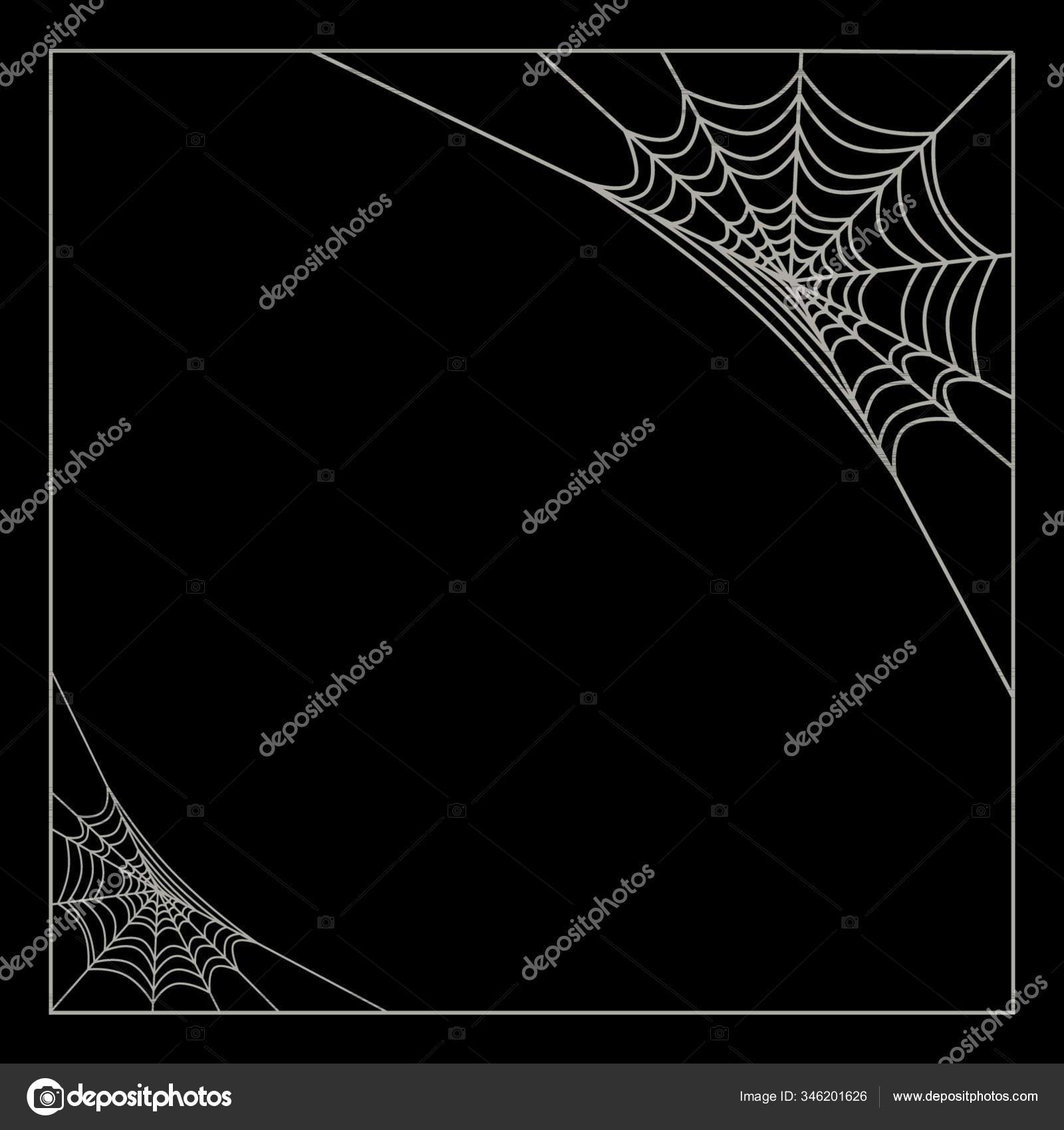 Spiderweb Frame Border Divider Isolated White Background Stock Vector ...