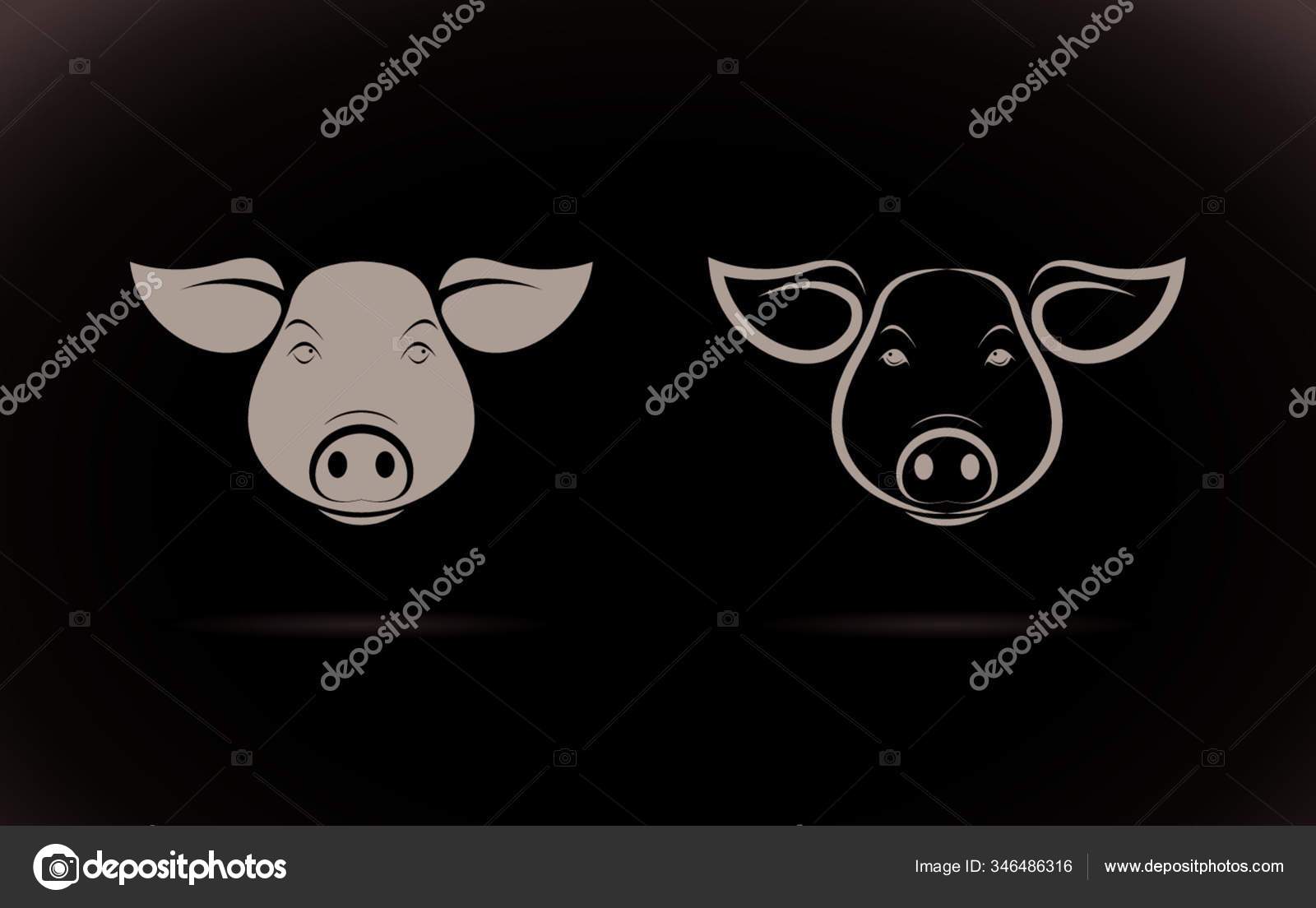 Beyaz Bir Arka Planda Domuz Kafası Tasarımı Çiftlik Hayvanları Domuz ...