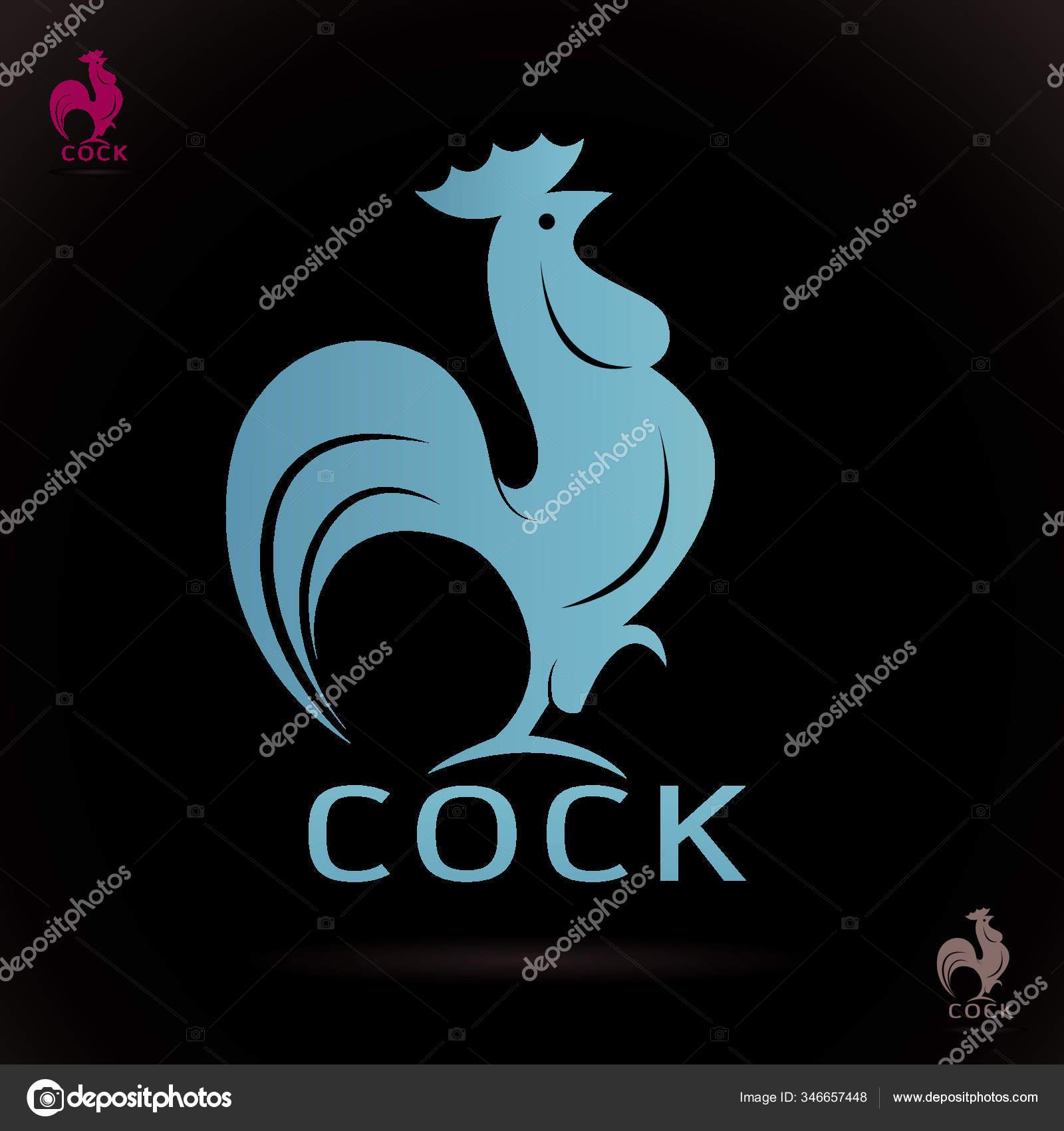 Vector Image Cock Design White Background Stock Vector Image by ...