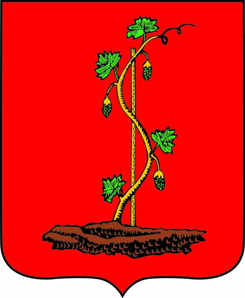 Various Vector Flags State Symbols Emblems Countries Regions ...