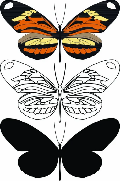 Layered Vector Illustration Butterfly Stock Vector by ©YAYImages 347668290 Layered Vector Illustration Butterfly Stock Vector by ©YAYImages 347668290