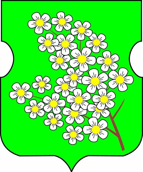 Various Vector Flags State Symbols Emblems Countries Regions ...