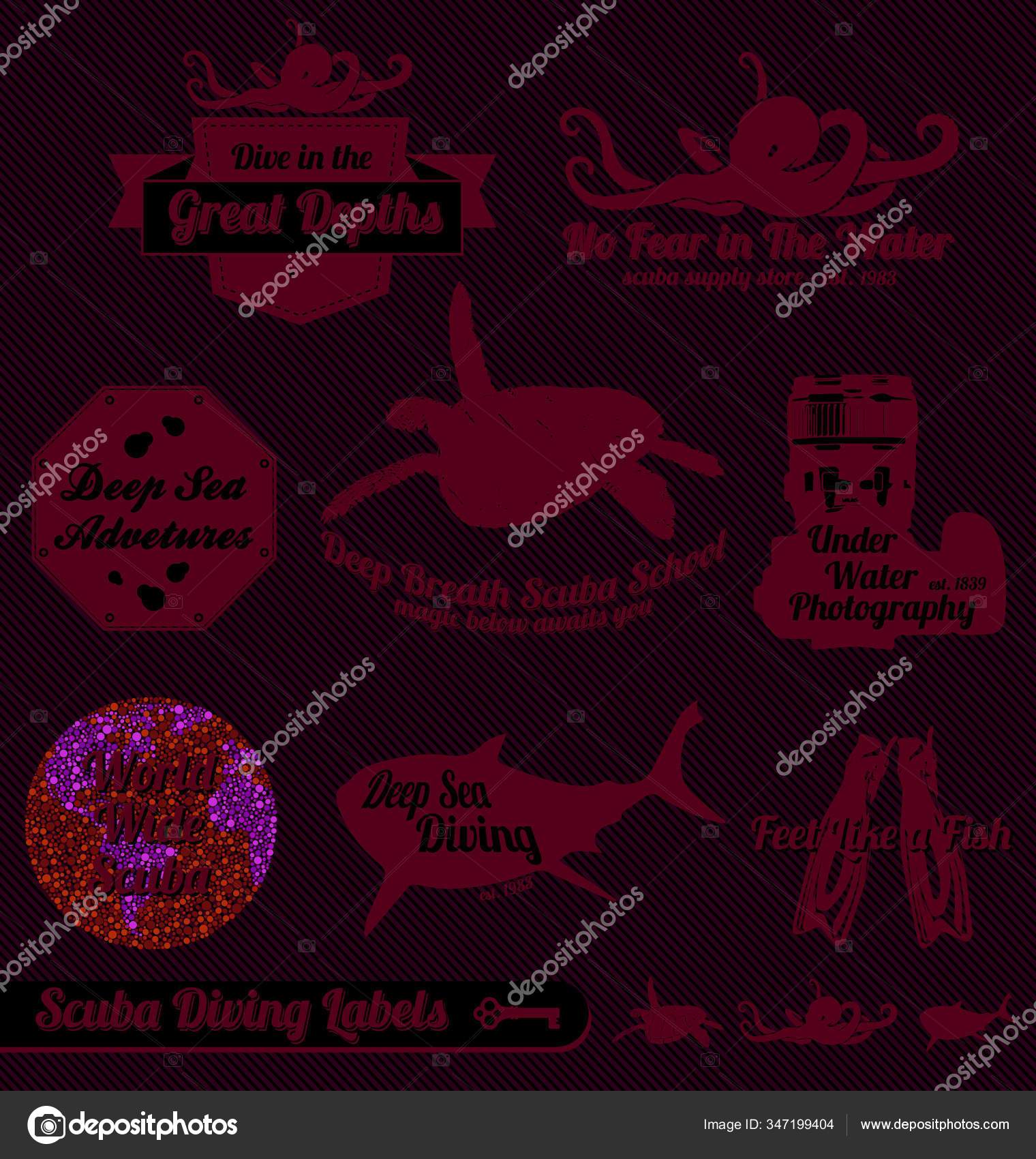 Collection Retro Style Scuba Diving Labels Symbols Stock Vector by ...