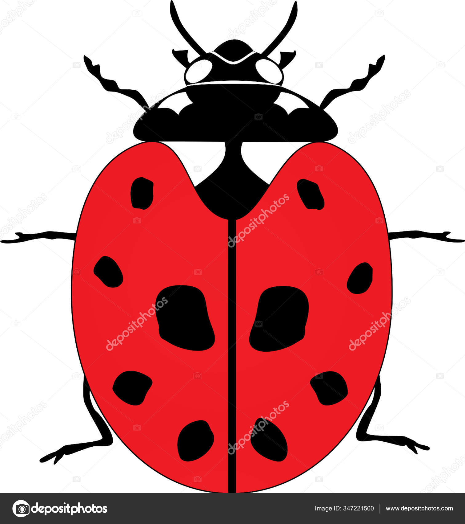 Lady Bird Vector Illustration Stock Vector by ©YAYImages 347221500