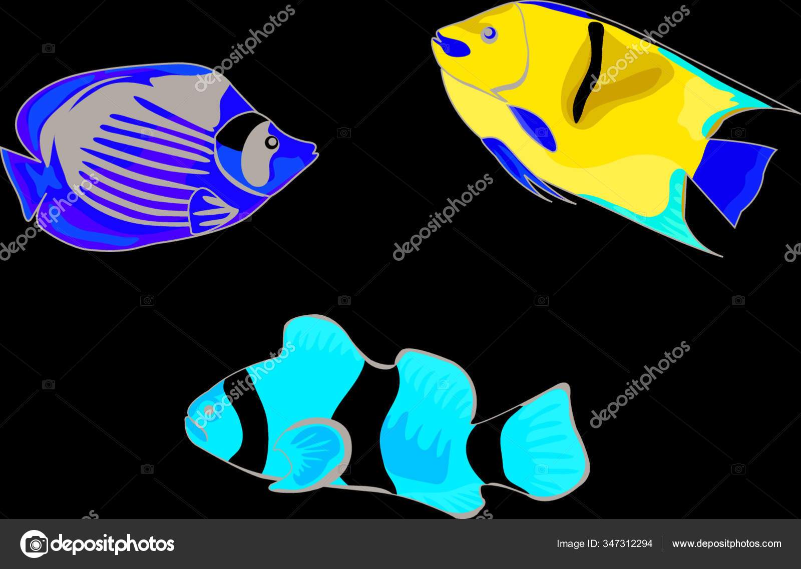 Tropical Fish Illustrations White Background Stock Vector by ©YAYImages ...
