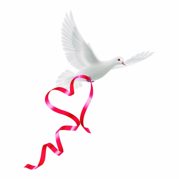 White Dove Red Ribbon White Background Stock Vector Image by ...