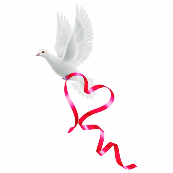 White Dove Red Ribbon White Background Stock Vector Image by ...