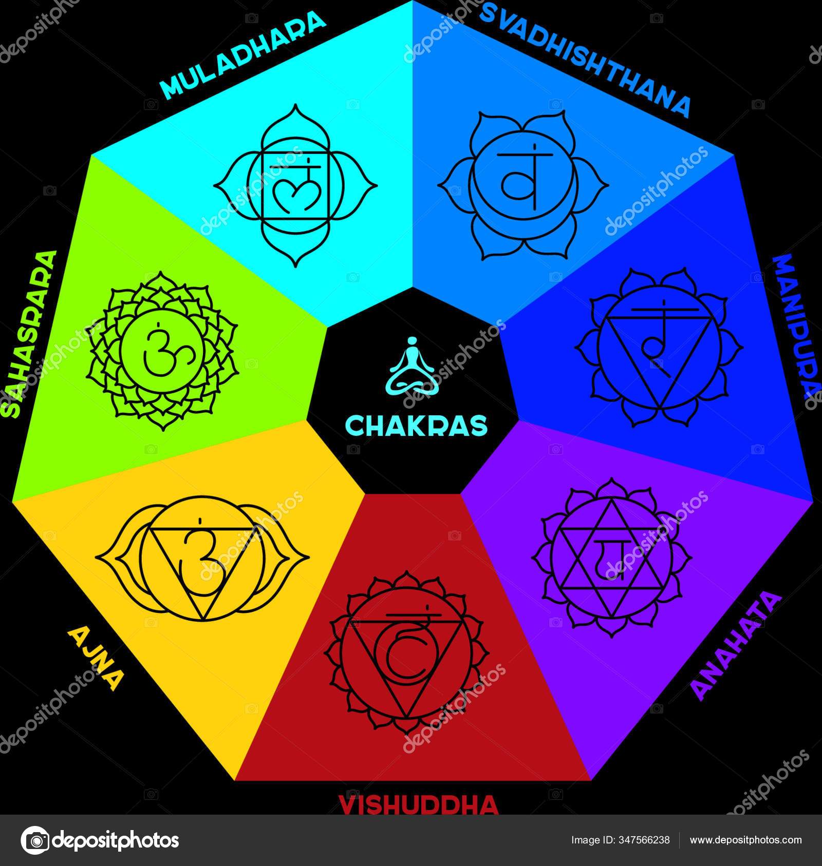 Vector Illustration Color Chakra Scheme White Background Stock Vector ...